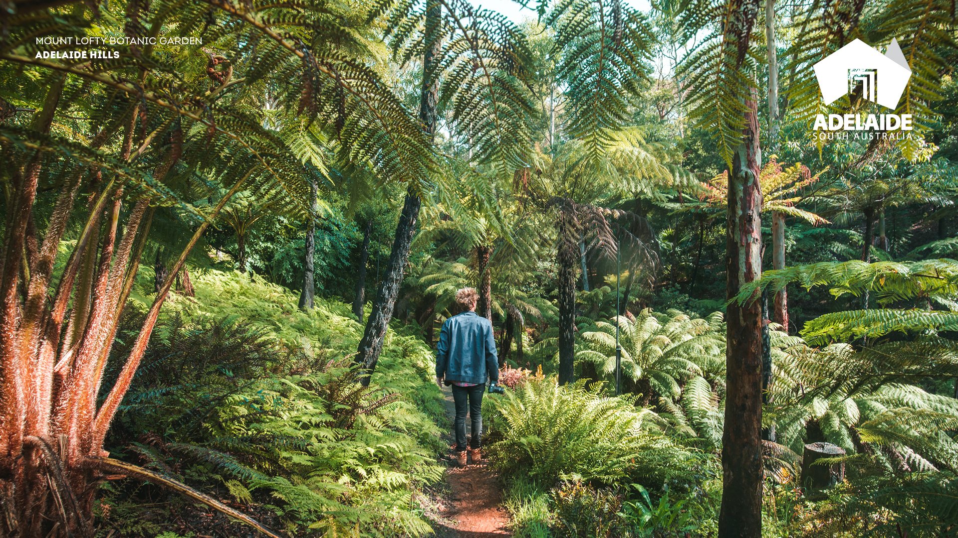 Virtual Backgrounds | trade.southaustralia.com