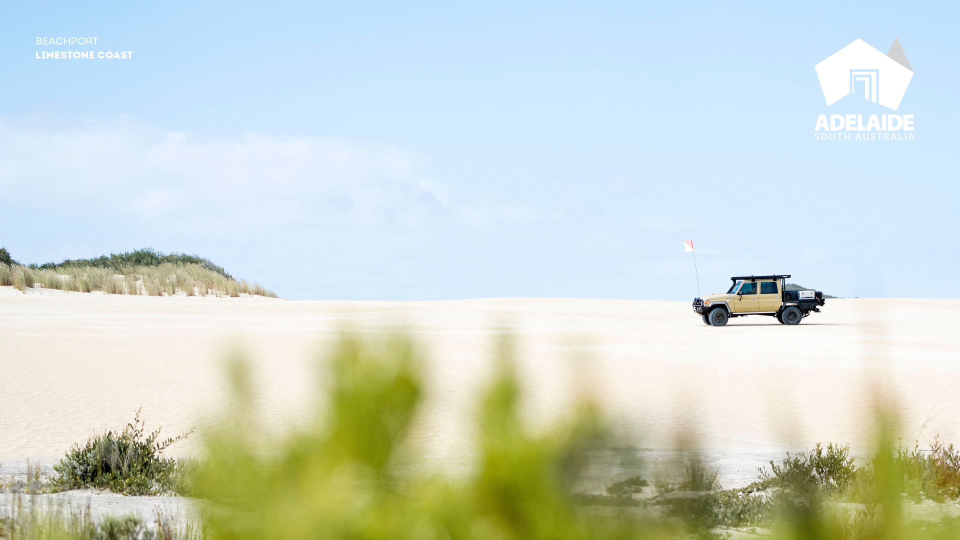 Virtual Backgrounds | trade.southaustralia.com